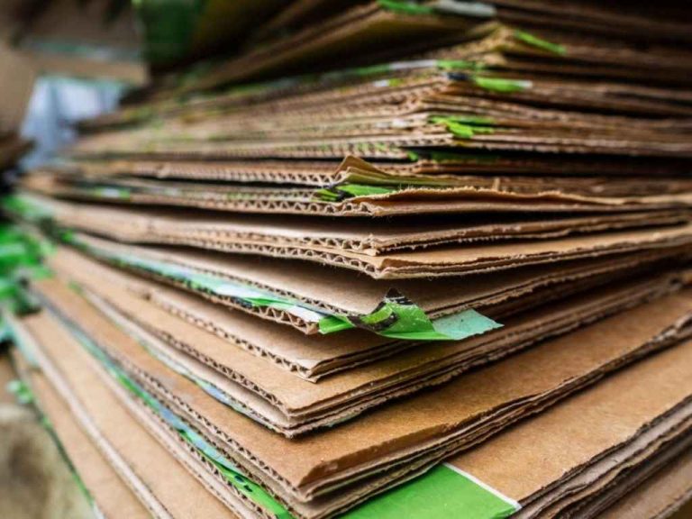 Understanding Cardboard Combustion: A Comprehensive Guide – Bulks Go